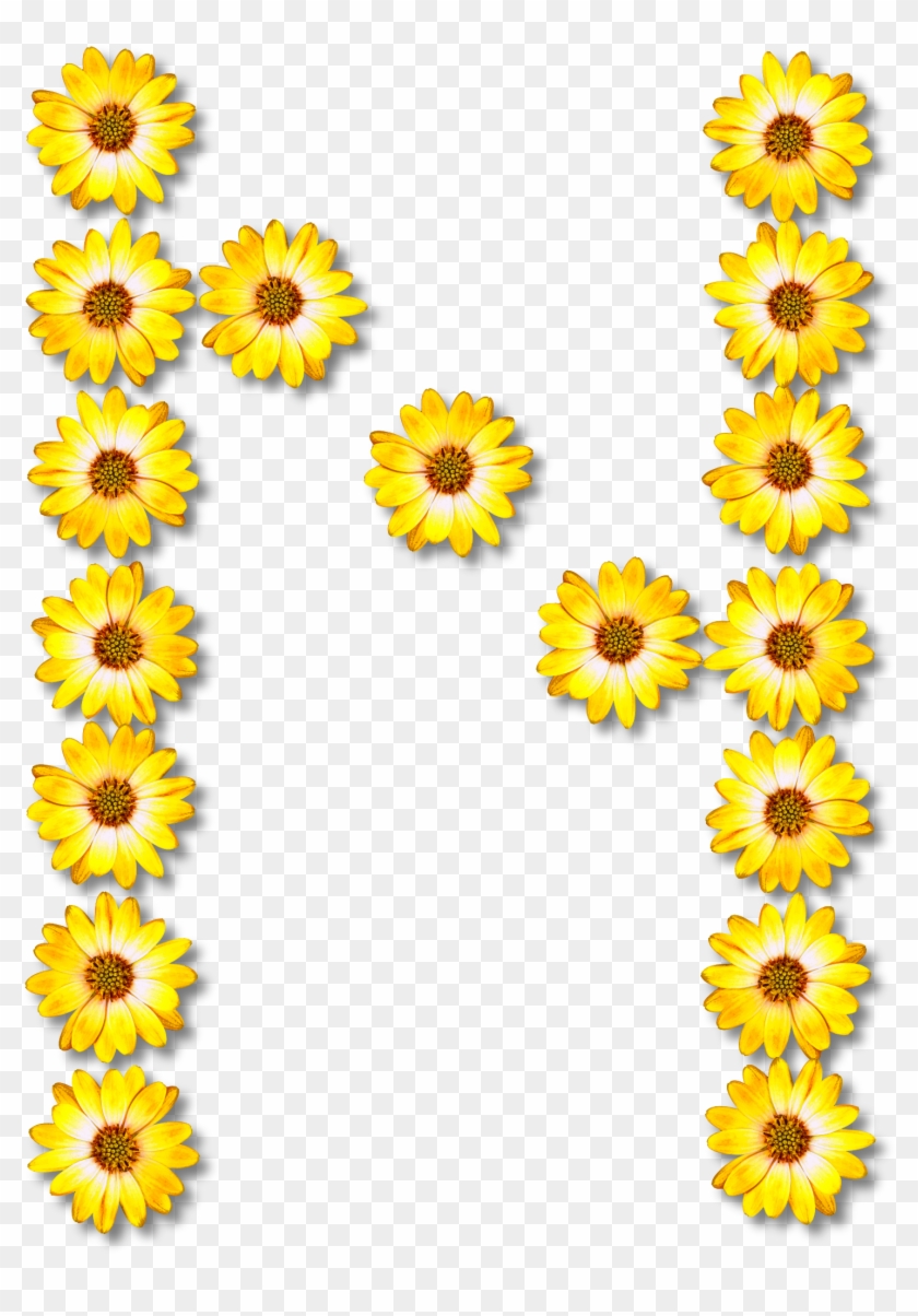 Big Image - Big Image - Free Transparent PNG Clipart Images Download