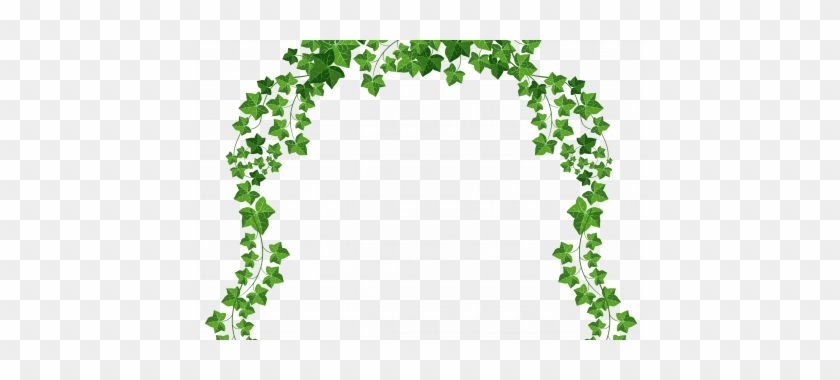 Arch Clipart Vine - Clip Art - Full Size PNG Clipart Images Download