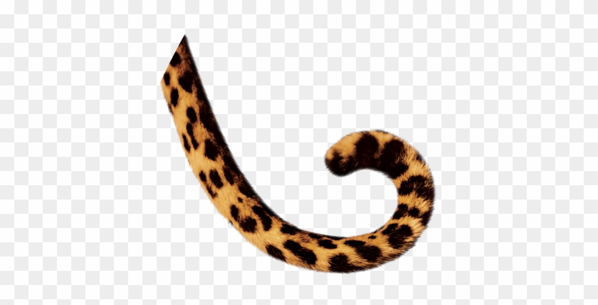 Tail Clipart - Tail Clipart - Full Size PNG Clipart Images Download