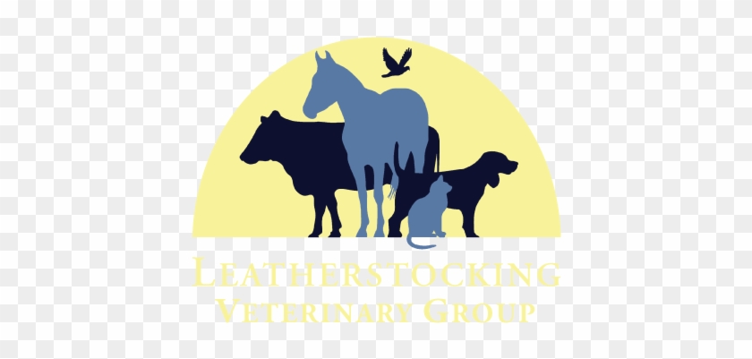 Logo - Veterinary Logo Png - Full Size PNG Clipart Images Download