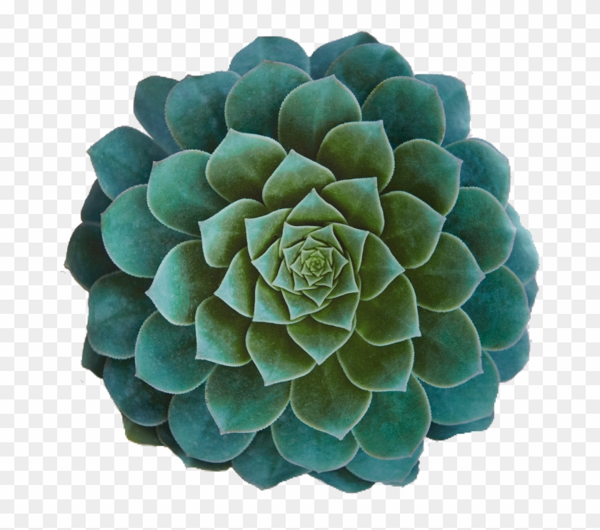 Maybee - Maybee - Free Transparent PNG Clipart Images Download