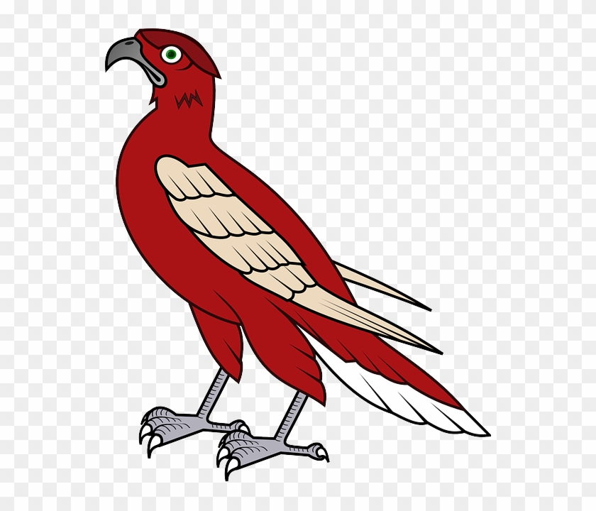 Federigo S Falcon Cartoon Clipart