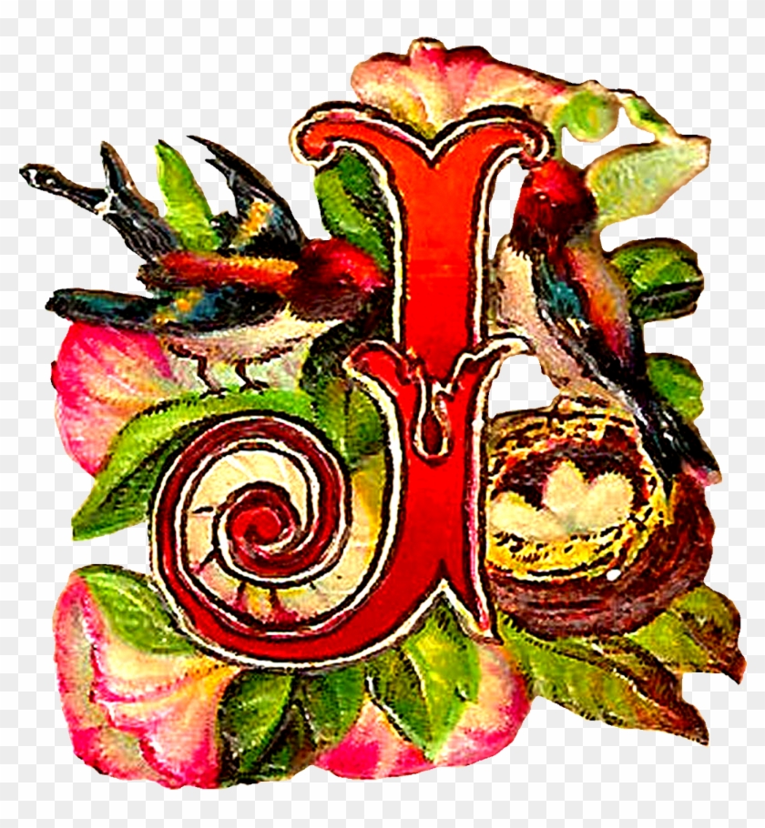 Drop Cap Digital Clip Art - Bird - Full Size PNG Clipart Images Download