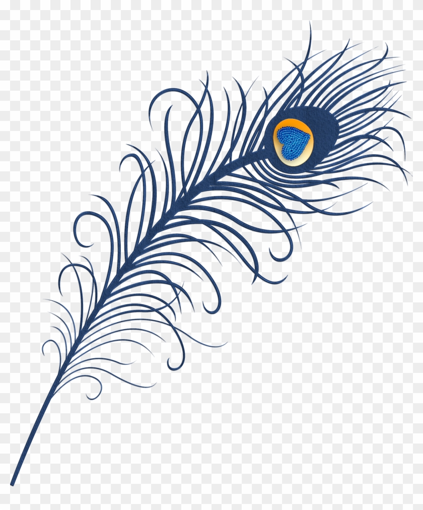 Feather Peafowl Bird Clip Art - Peacock Feathers Clip Art - Full Size ...