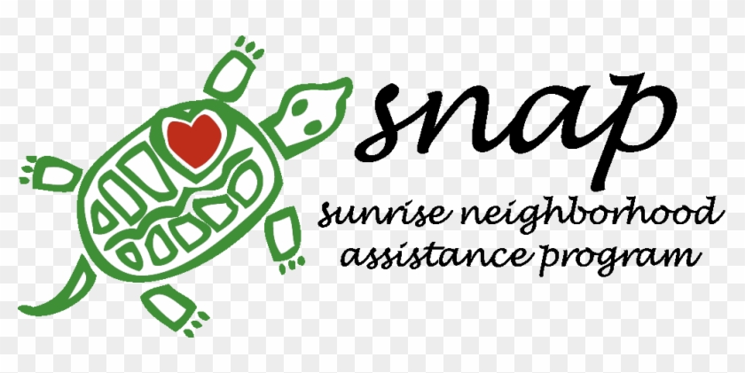 Sunrise Neighborhood Assistance Program - Turtle - Full Size PNG ...