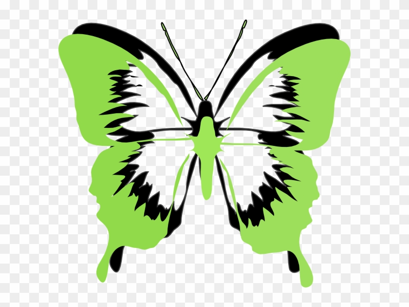 Green Butterfly Clip Art - Butterfly Clip Art - Full Size PNG Clipart ...