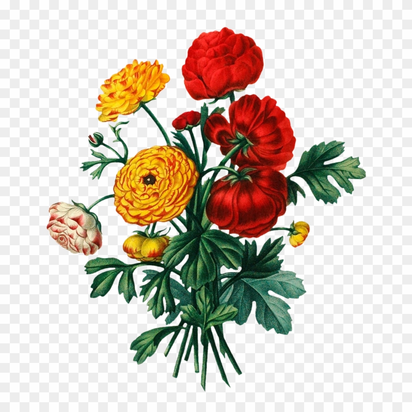 Floral Design Flower Bouquet Botany Clip Art - Floral Design Flower ...