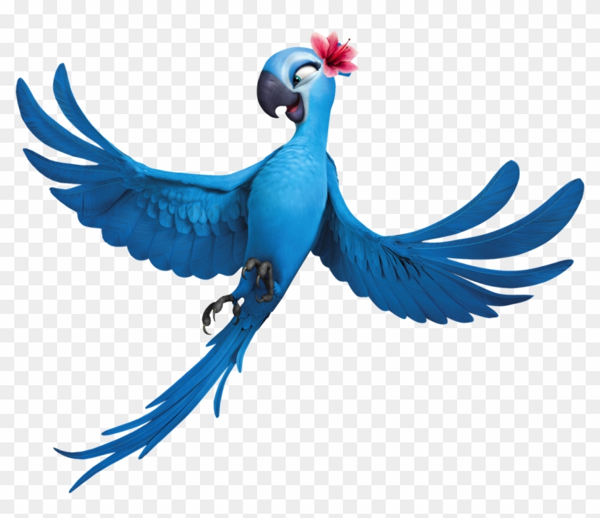 Rio Movie Clip Art - Rio The Movie - Full Size PNG Clipart Images Download