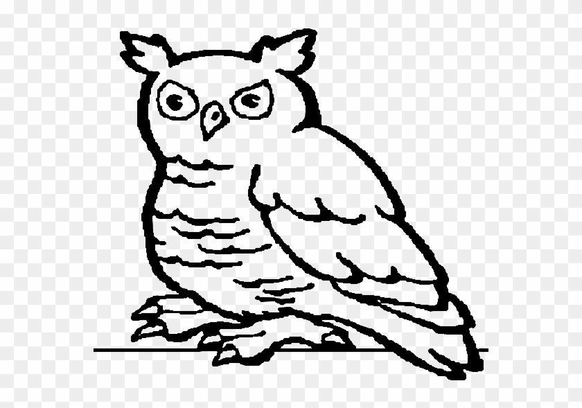 Baykus-1 - Baykus-1 - Free Transparent PNG Clipart Images Download