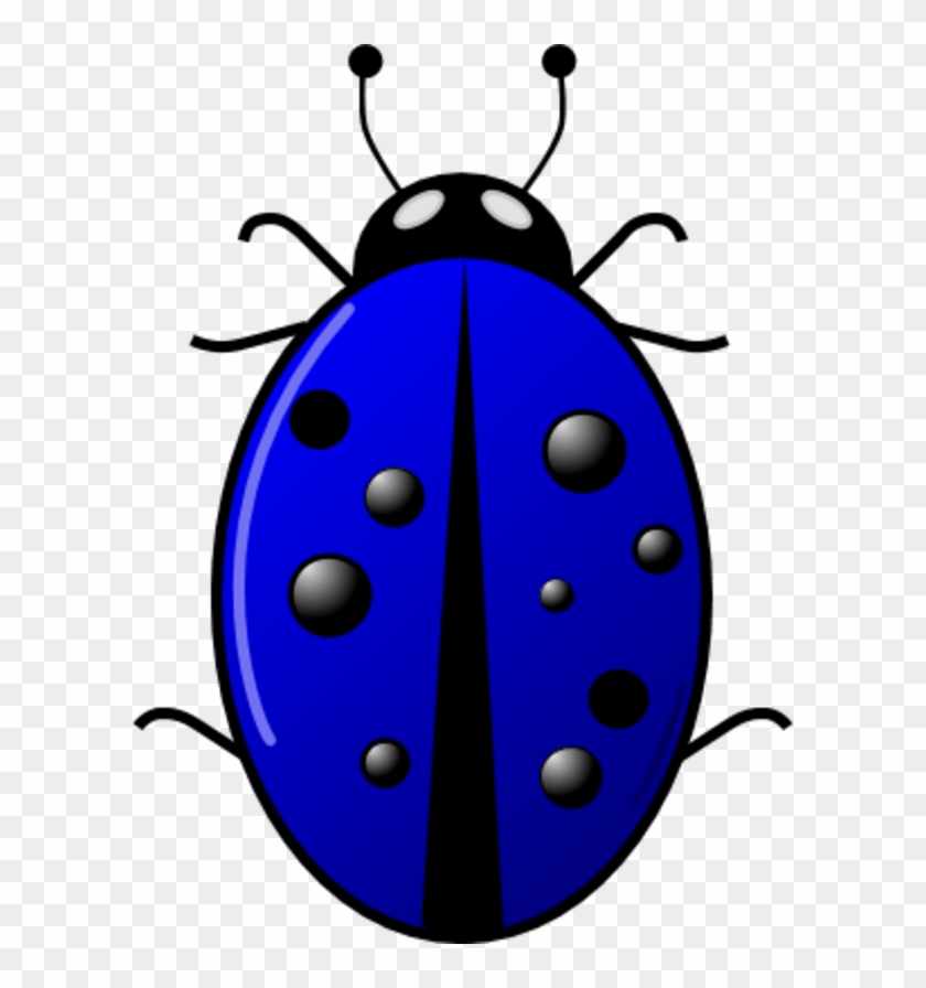 Insect Clip Art - Ladybug Clipart Png - Full Size PNG Clipart Images ...