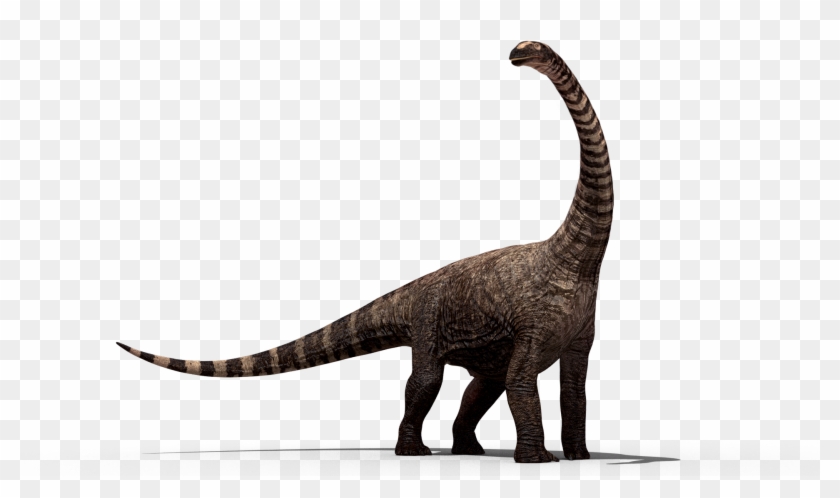 Dinossauro Png Hd - Full Size PNG Clipart Images Download