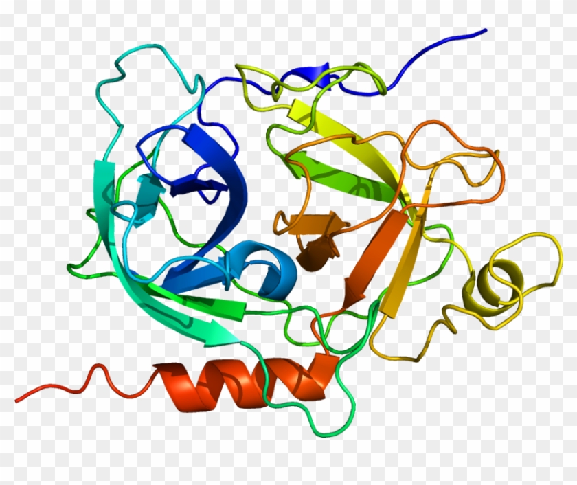 Gzmk - Free Transparent PNG Clipart Images Download