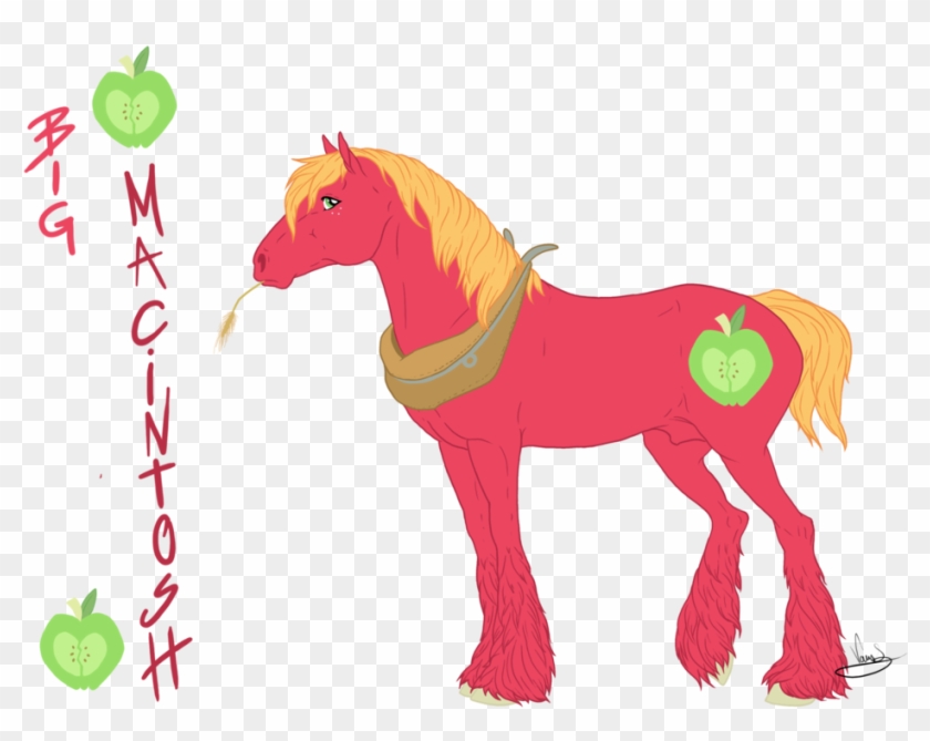 Realistic Big Macintosh By Vanycat - Mlp Realistic - Full Size PNG ...