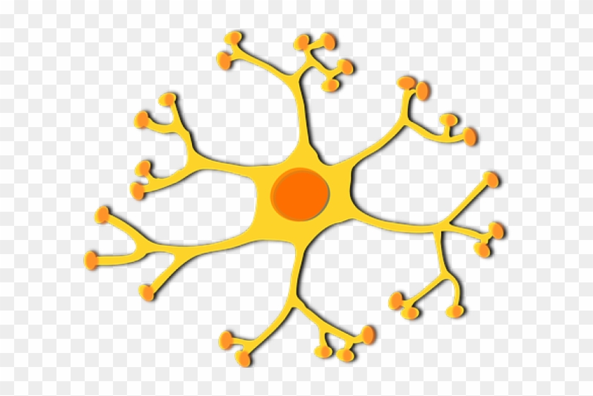 Neuron Clipart Generic - Dendrites Png - Full Size PNG Clipart Images ...