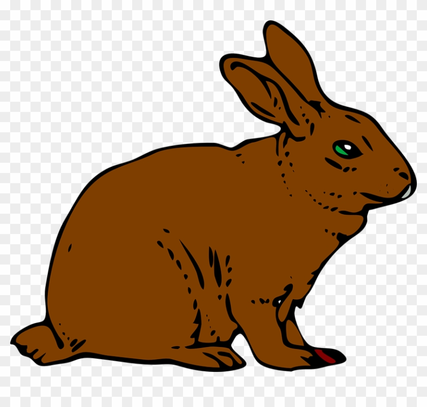 Rabbit Clip Art - Rabbitclip Art - Full Size PNG Clipart Images Download