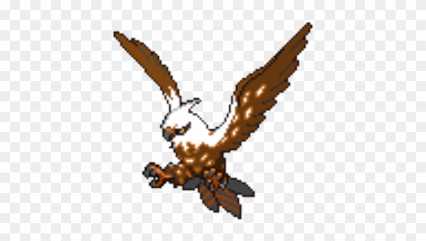 Eagle Talonflame - Talonflame Gen 5 Sprite - Full Size PNG Clipart ...