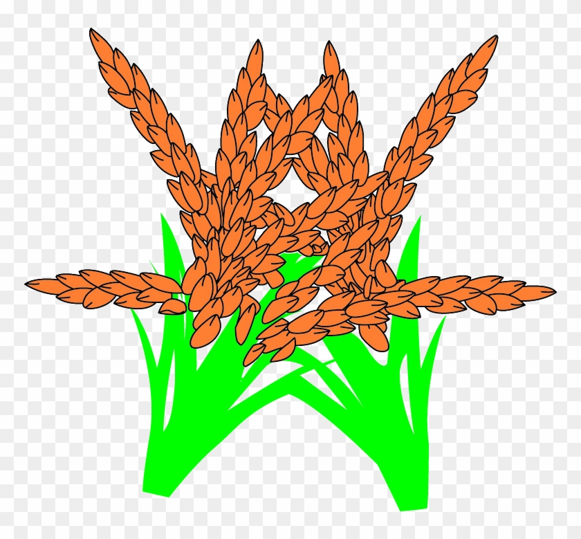 Cartoon Drawing - Wheat Cartoons - Cartoon Drawing - Wheat Cartoons ...