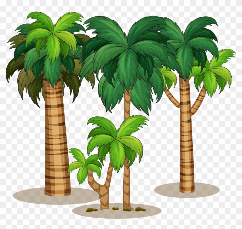 Coconut Milk Tree - Coconut Milk Tree - Free Transparent PNG Clipart ...