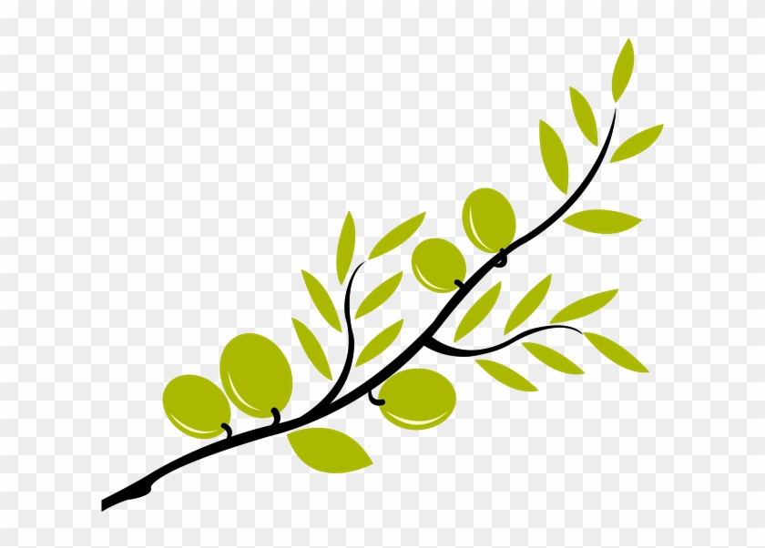 Olive Branch Drawing Clip Art Clipart Best - Clip Art Olive Branch ...