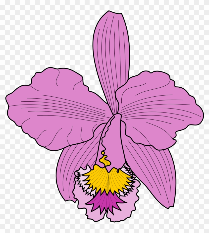 Cattleya Trianae Icon - Cattleya Vector - Full Size PNG Clipart Images ...