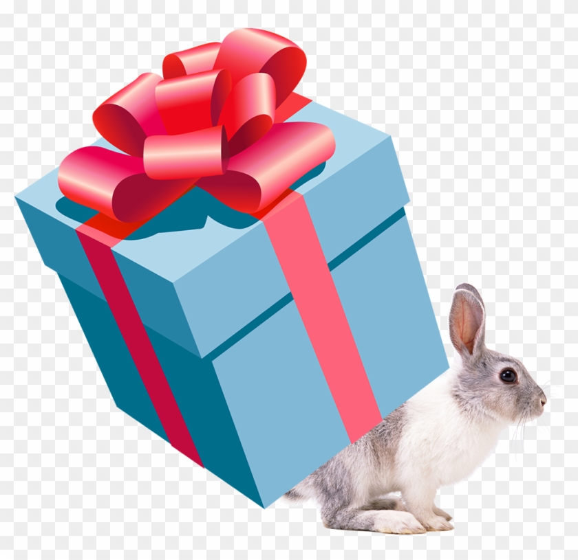 Gift Box Clip Art - Gift Box Clip Art - Full Size PNG Clipart Images ...