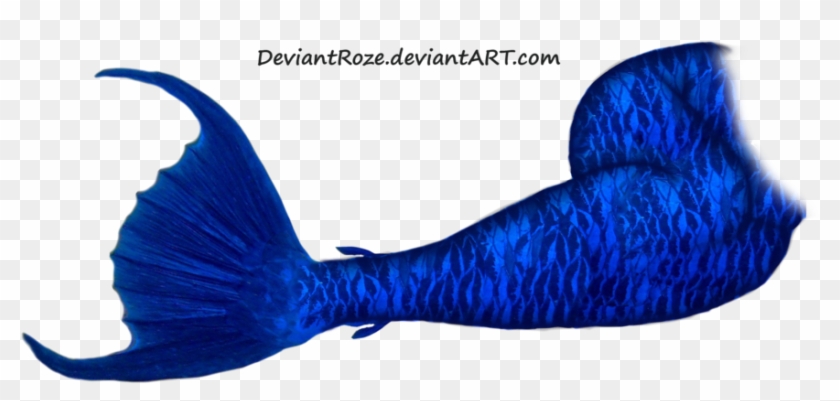 Mermaid Tail Png Picture - Dark Blue Mermaid Tails - Full Size PNG ...