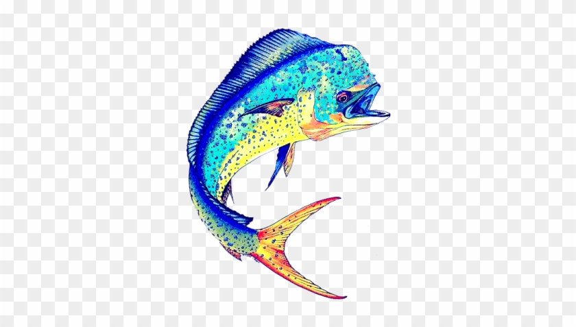 Mahi Mahi Logos - Full Size PNG Clipart Images Download