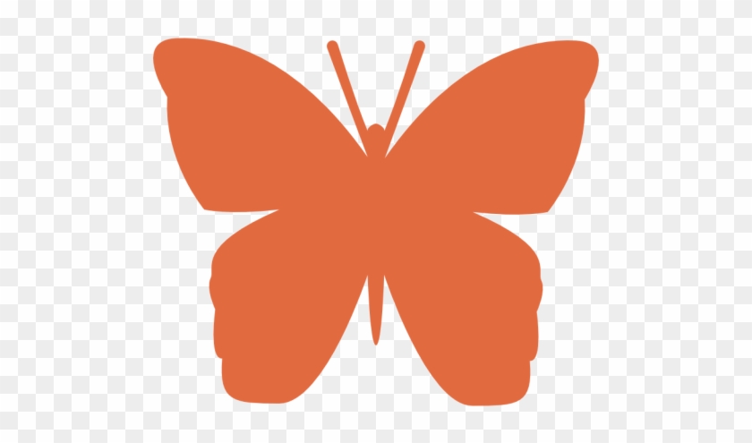 Riodinidae - Free Transparent PNG Clipart Images Download