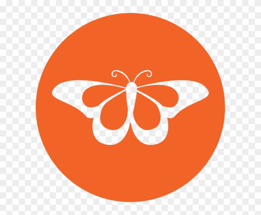 Health - Free Transparent PNG Clipart Images Download