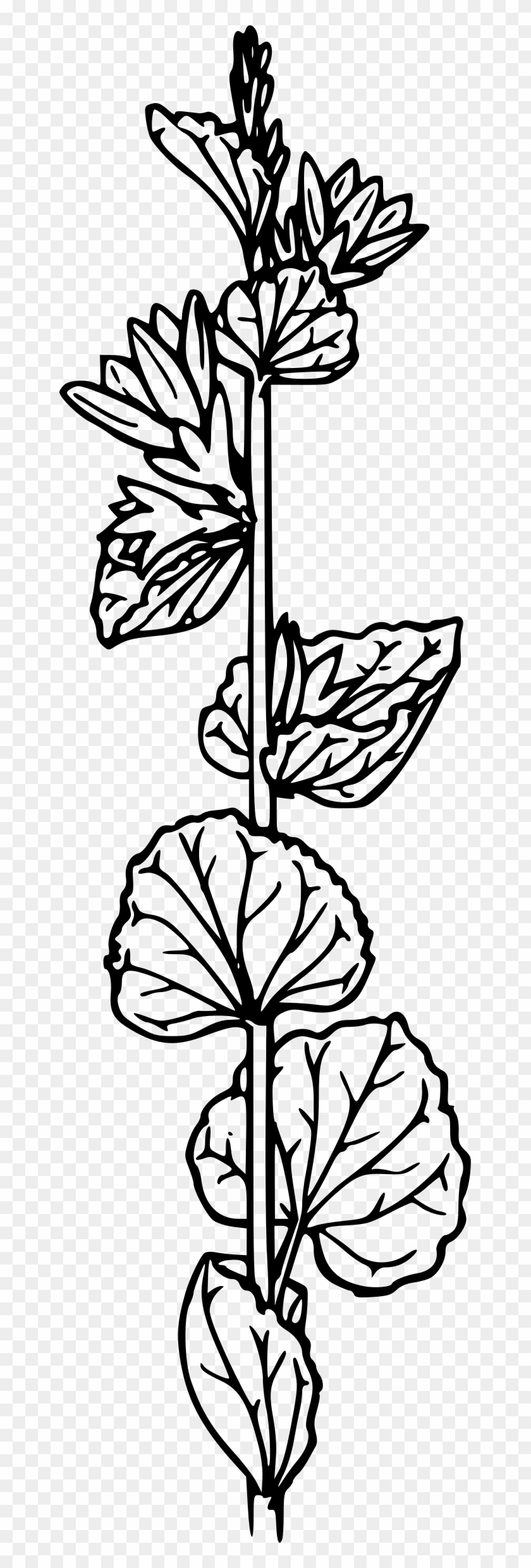 Graduated Cylinders Measurement Milliliter Clip Art - Graduated ...