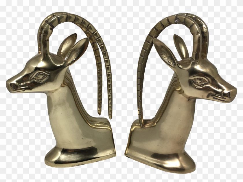 Springbok - Free Transparent PNG Clipart Images Download