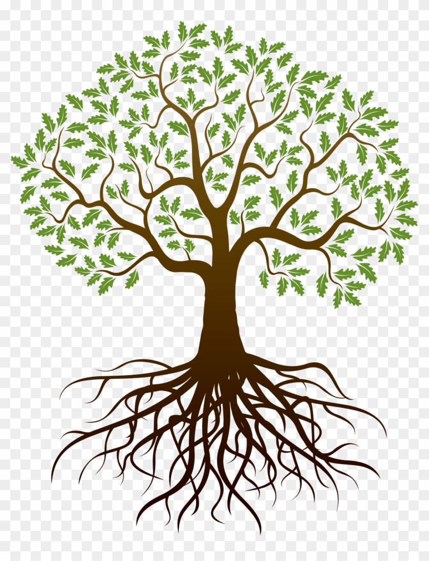 Family Tree Drawing With Roots