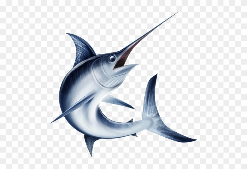 Espadon - Animal - Free Transparent PNG Clipart Images Download