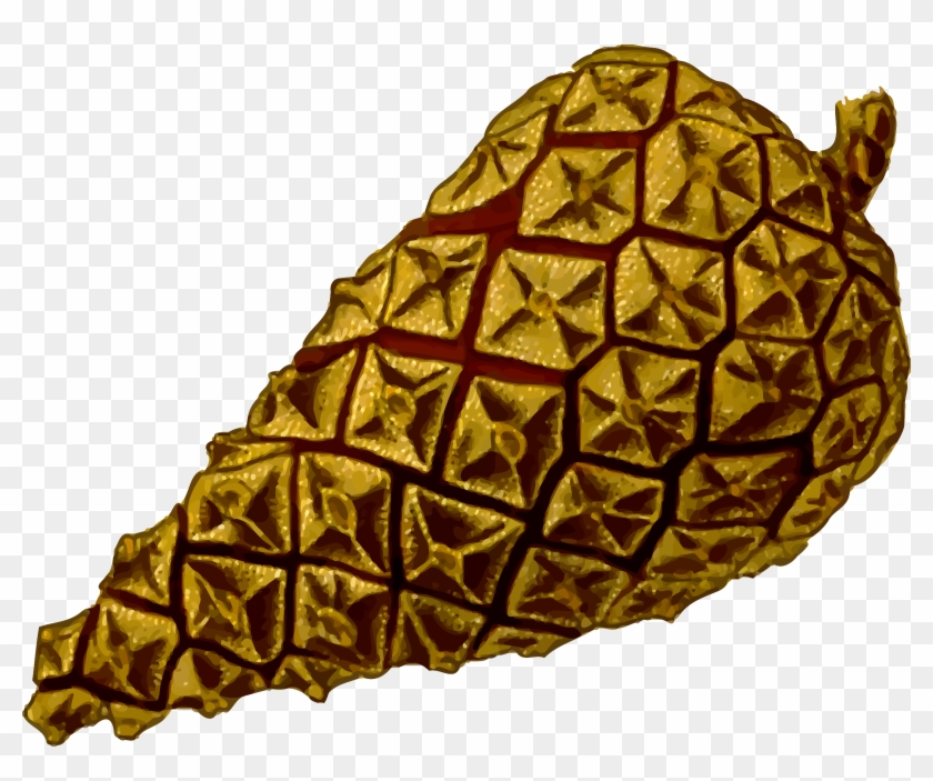Big Image - Semilla De Pino Png - Full Size PNG Clipart Images Download