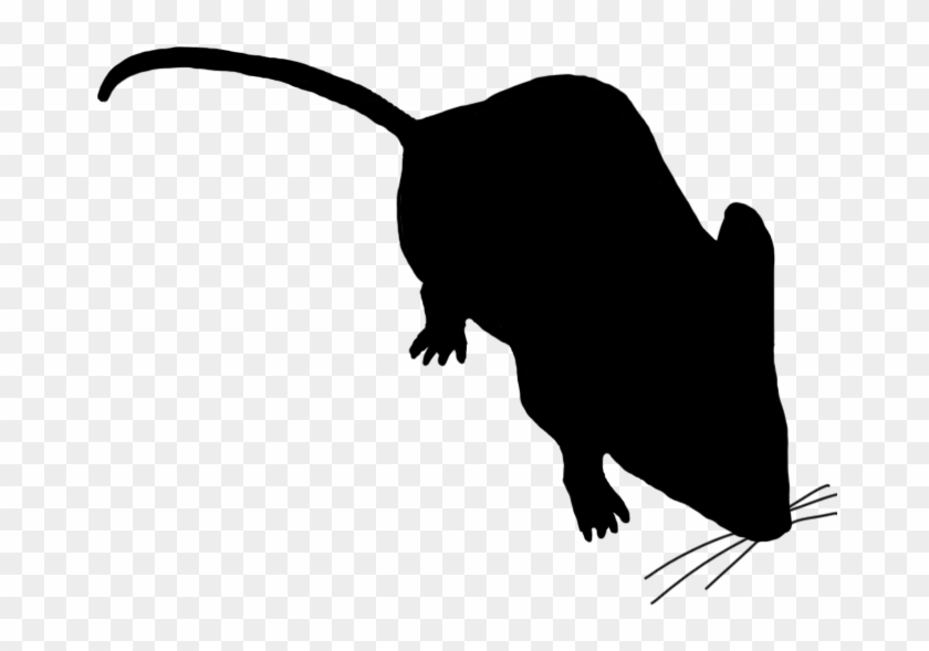 Little Mouse Sniffing Around - Mouse Silhouettes - Full Size PNG ...