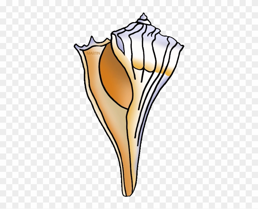 Georgia State Sea Shell - New Jersey State Shell - Full Size PNG ...