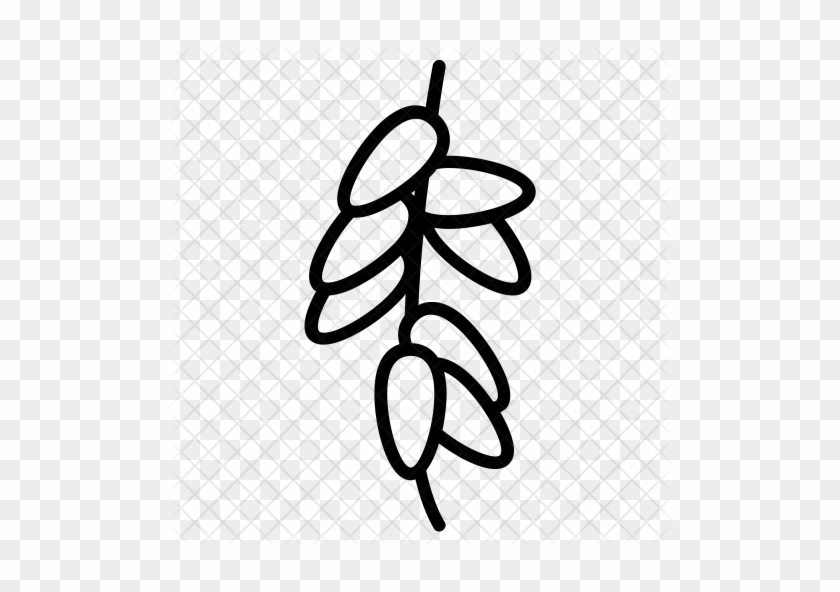 Date-tree Icon - Date Fruit Icon - Full Size PNG Clipart Images Download