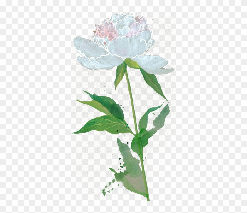 Re Sized Flower Copy - Re Sized Flower Copy - Free Transparent PNG ...