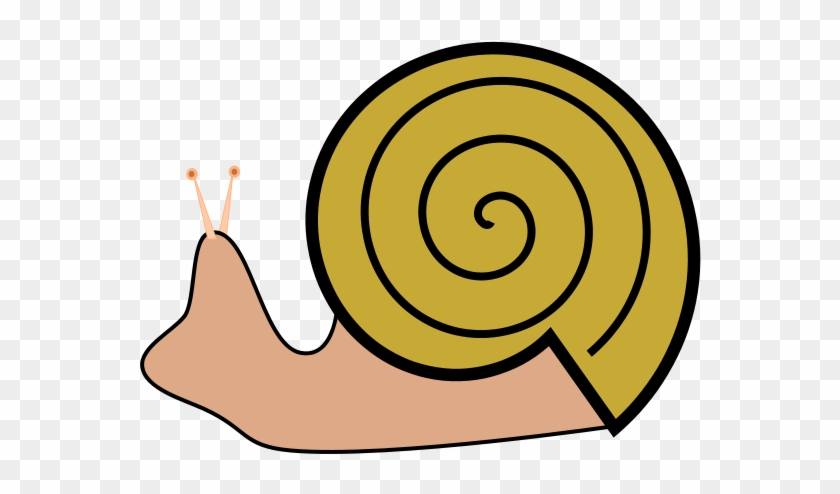 Snail - Full Size PNG Clipart Images Download