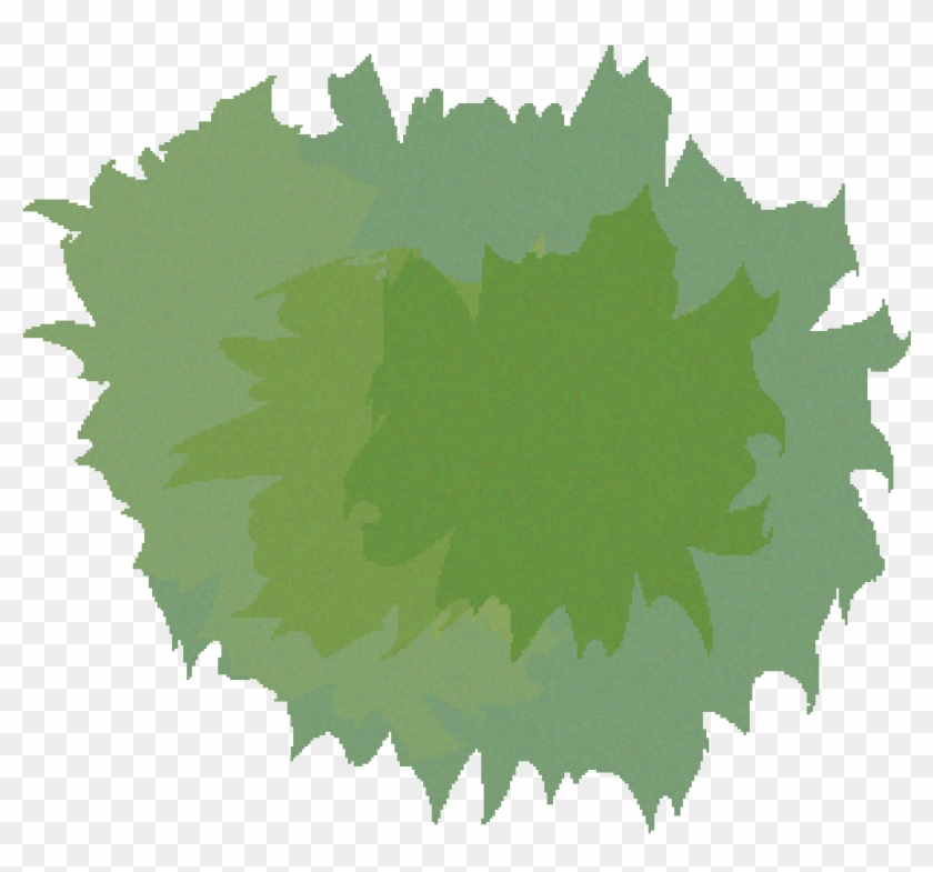 Tree Image - Illustration - Free Transparent PNG Clipart Images Download