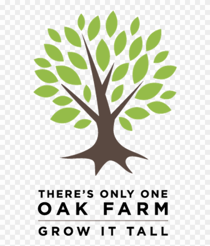 Tall Oak Tree Fund Graphic - Zumanity - Free Transparent PNG Clipart ...