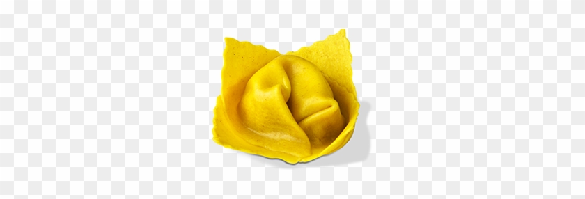 Img14 - Wonton - Free Transparent PNG Clipart Images Download