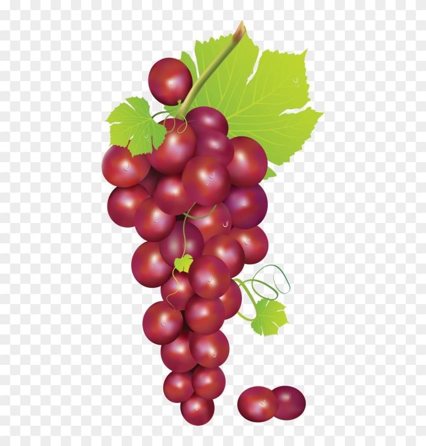 Grapes Clipart Red Grape - Red Grapes Vector Png - Full Size PNG Clipart Images Download