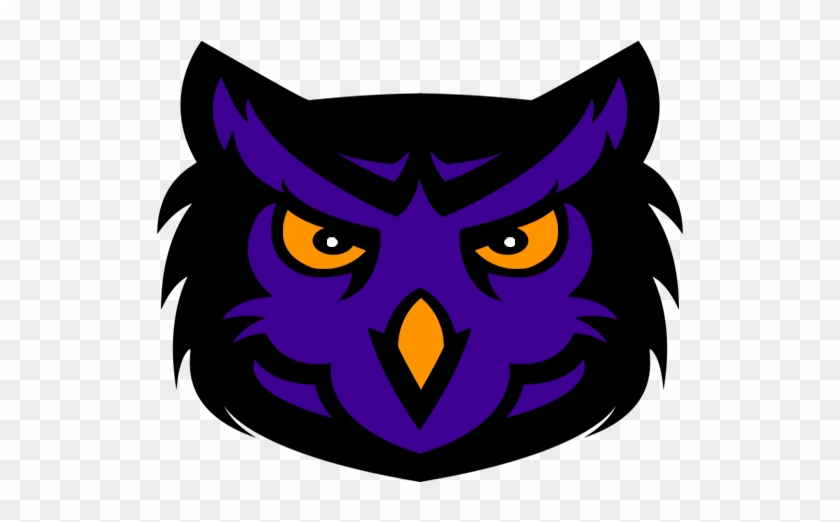 I'm Hoping To Use This Logo In My Fictional Football - Purple Owl Logo ...