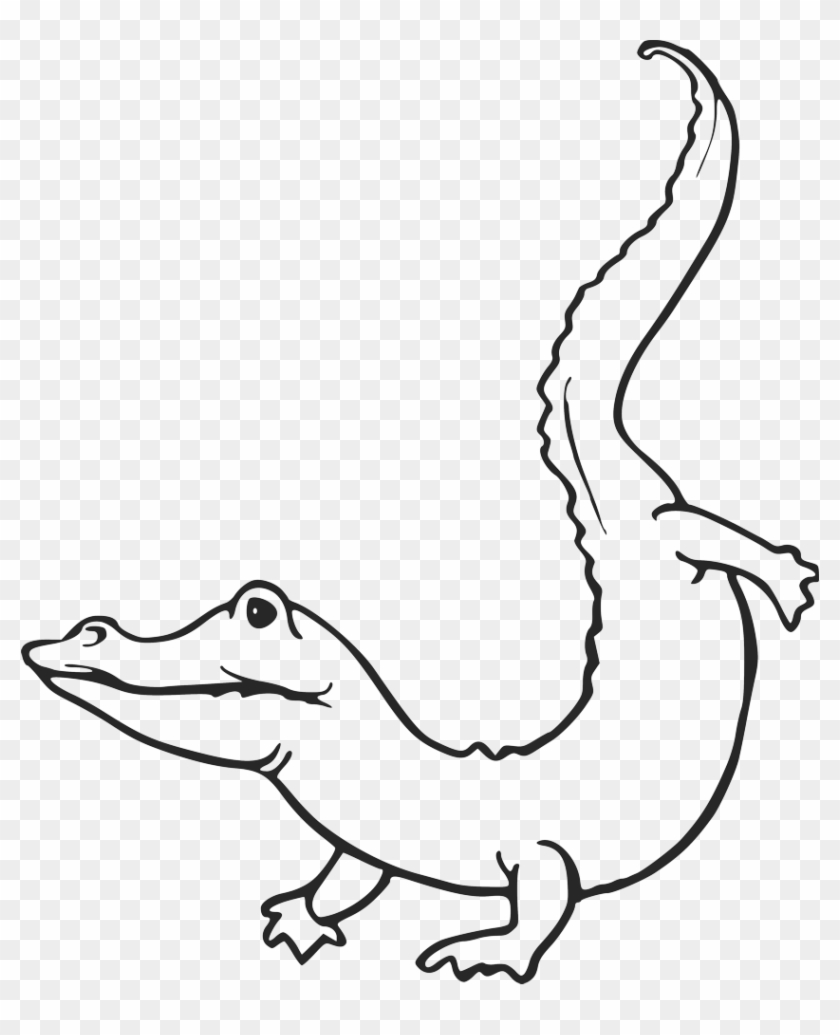 Alligator Stencil Design - Line Art - Full Size PNG Clipart Images Download