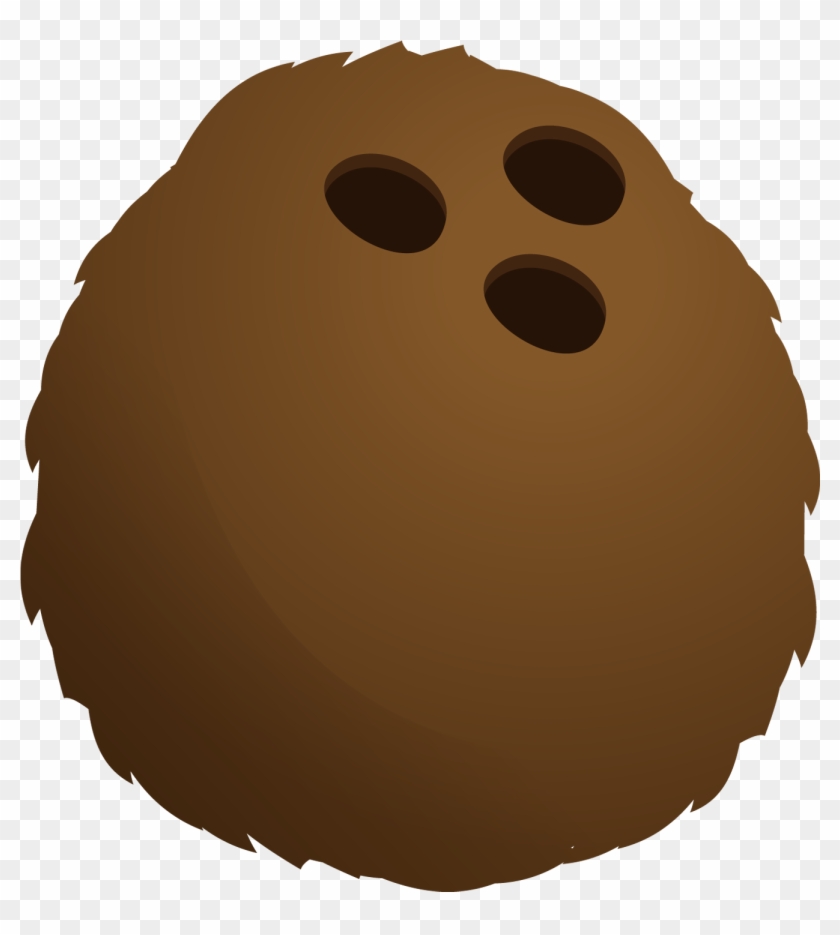 Explore A Real Coconut With Your Students - Chicka Chicka Boom Boom ...