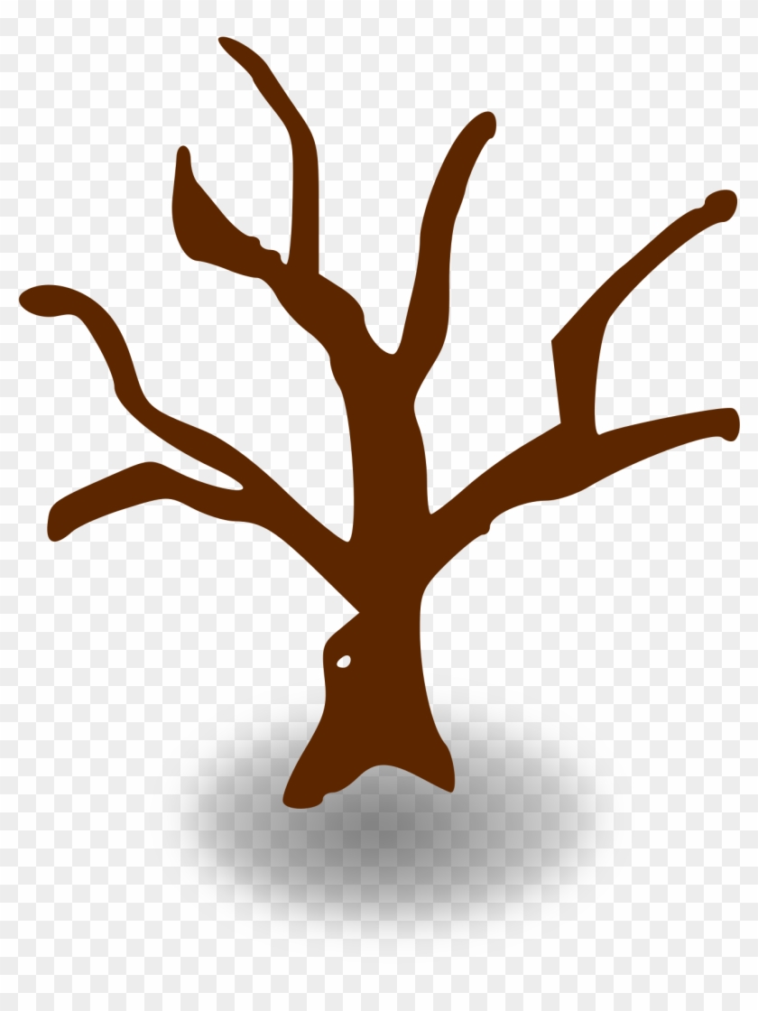 Big Image Tree Graphic Organizer Template Free Transparent PNG