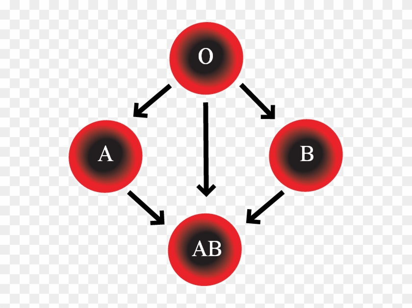 Blood Types - Abo Blood Group System - Full Size PNG Clipart Images ...