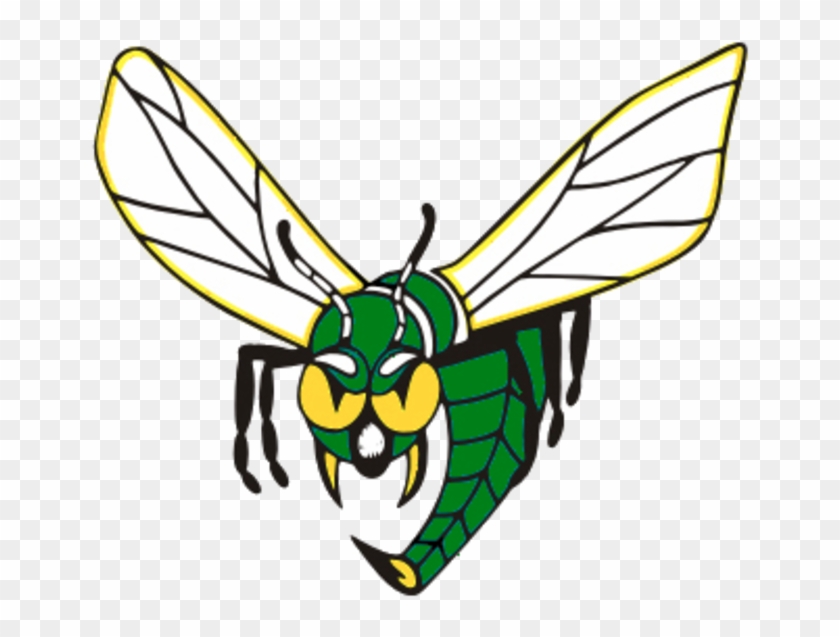 E - Edina High School Hornet - Full Size PNG Clipart Images Download