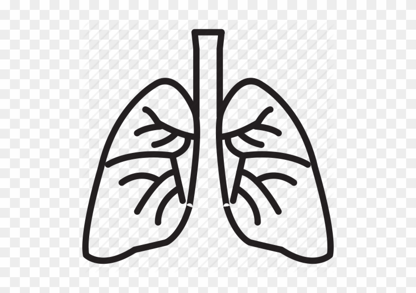 Free Icons Png - Lungs Clipart Transparent Background - Full Size PNG ...